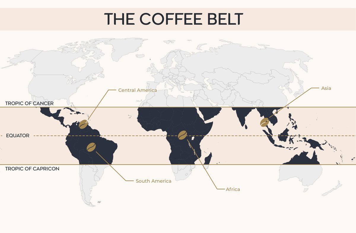 The Coffee Belt: A Guide to the World’s Best Coffee Growing Regions ...